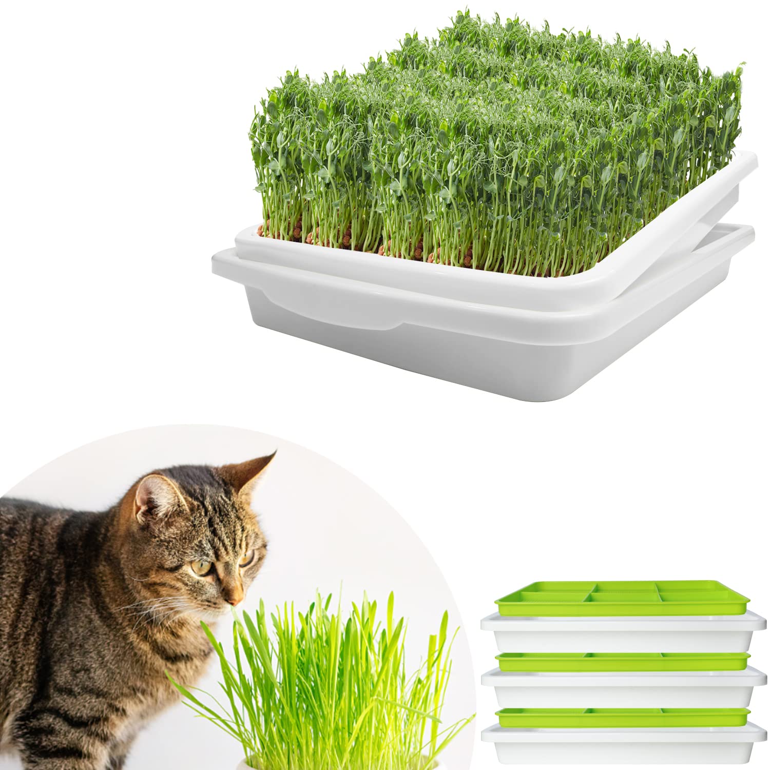SUNPRO 3-Pack Seed Sprouter Tray BPA Free PP Soil-Free Big Capacity Healthy Wheatgrass Grower Sprouting Container Kit (3Packs,Green Mesh Tray with 6 Zone,White Bottom Tray)