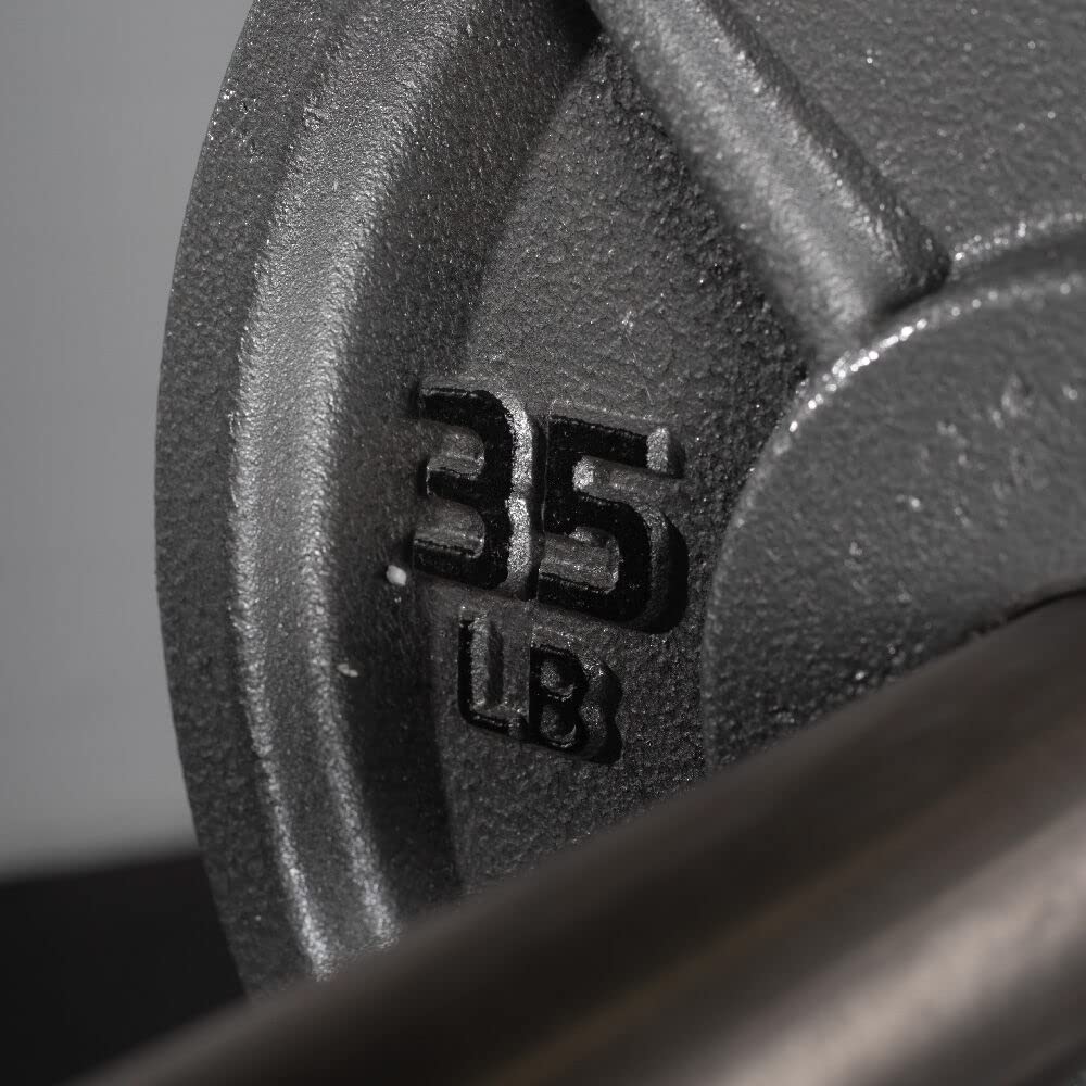 Titan Fitness 35 LB Cast Iron Olympic Plate, Sold Individually, Classic Weight Plate Design, Silver Hammer Finish
