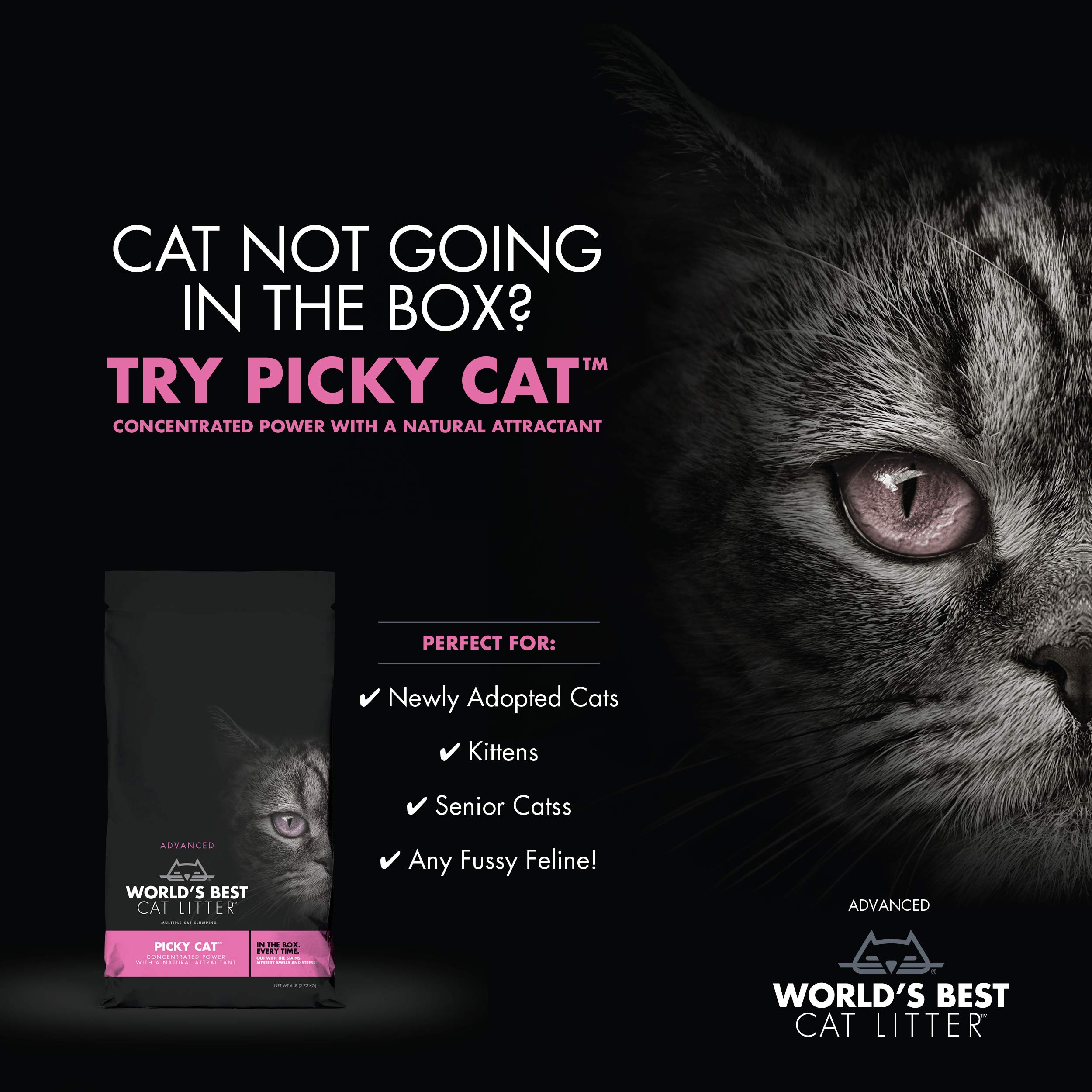 World's Best Cat Litter Picky Cat, Clumping Cat Litter, Flushable with Natural Attractive Scent for All Cats, 10.89 kg