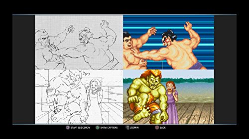 Street Fighter 30th Anniversary Collection - PlayStation 4 Standard Edition