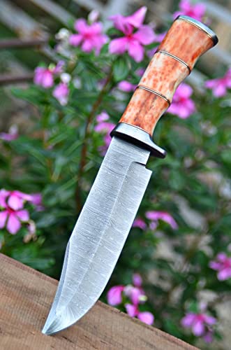 UK UNIQUE SHARP KNIVES BK-3004 Handmade Damascus Steel 12.00 Inches Damascus Steel Hunting Knife - Coloured Camel Bone Brass Spicer Handle With Damascus Gurd/pommel
