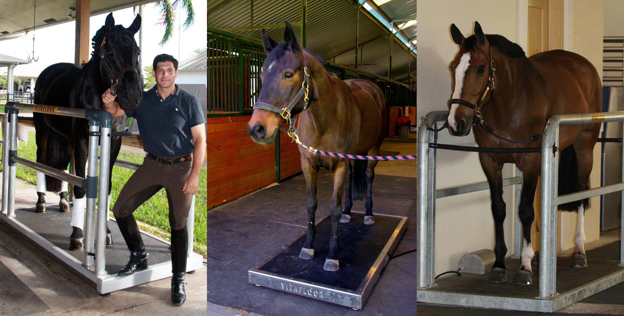 Vitafloor VMC Vibration Training Platform for Horses - Speed Recovery & Reduce Injury Time with Vibration Therapy for Horses!