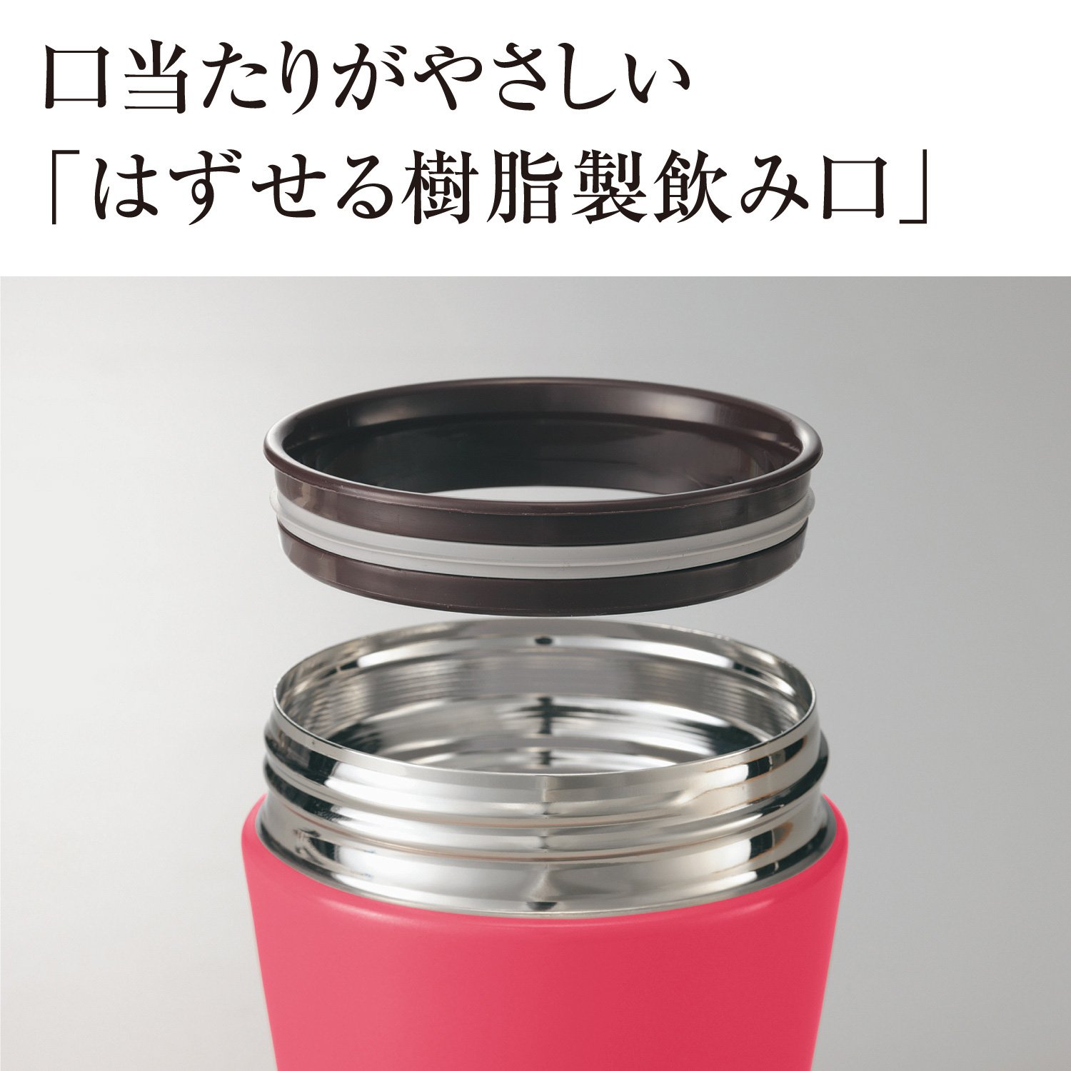 Zojirushi Stainless Steel Food jar 260ml Nuts Brown SW-GC26-TA