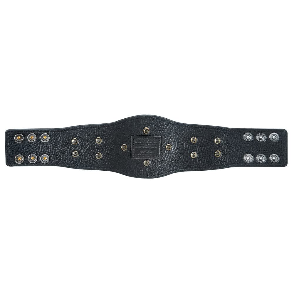WWE Authentic Wear Attitude Era Intercontinental Championship Mini Replica Title Belt Multi