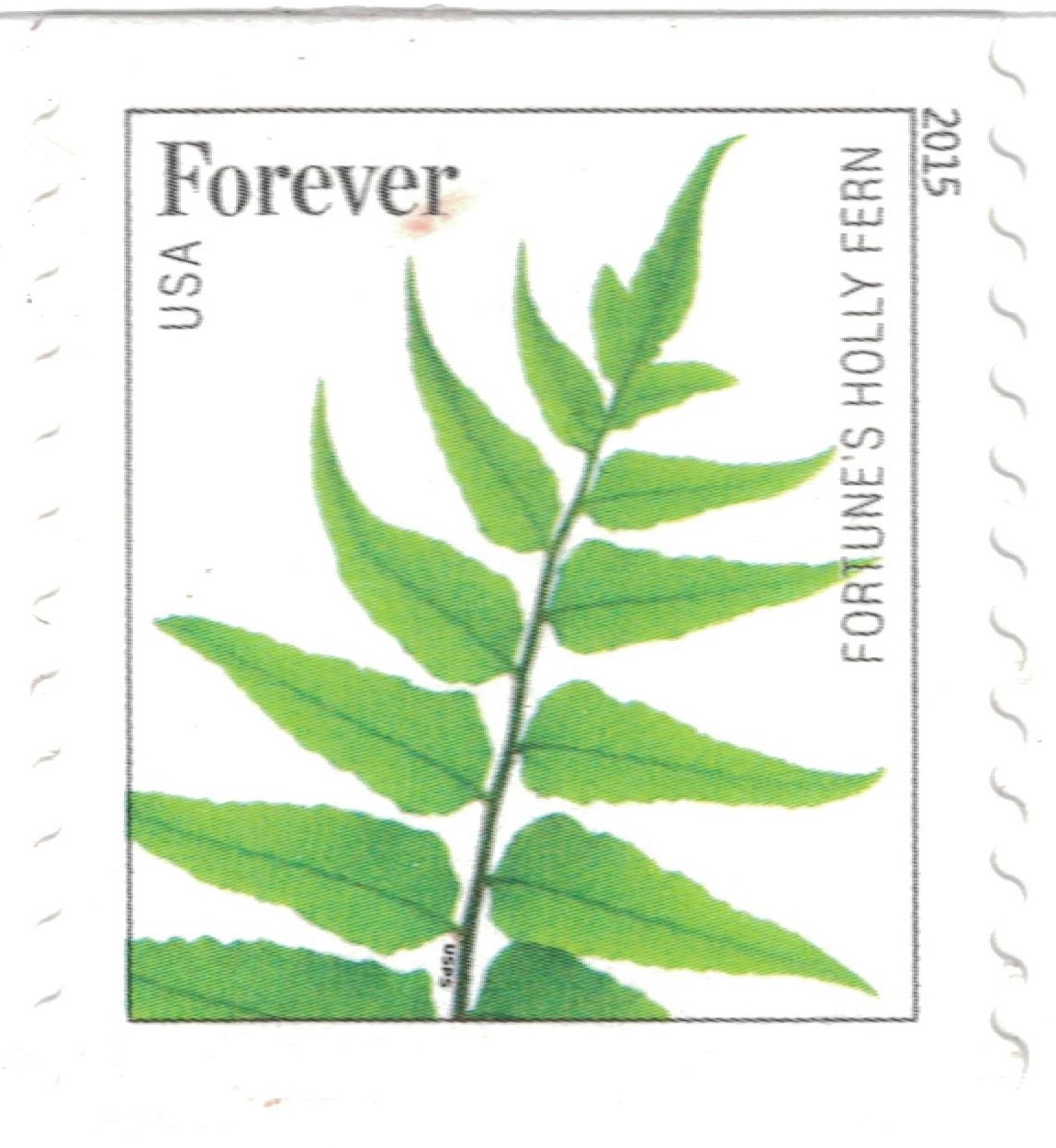 USPS Ferns Stamps - 50 Forever Stamps (5 Strips of 10 Stamps)
