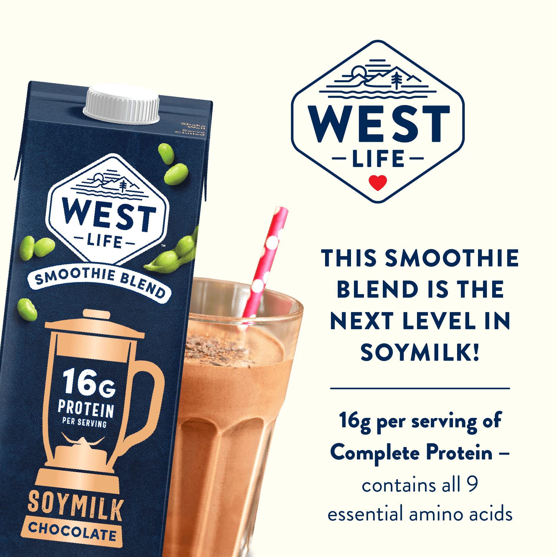 West Life Smoothie Blend Soy Milk, Chocolate, 16g of Protein, Vegan Dairy Alternative, Lactose-Free, 32oz (Pack of 12)