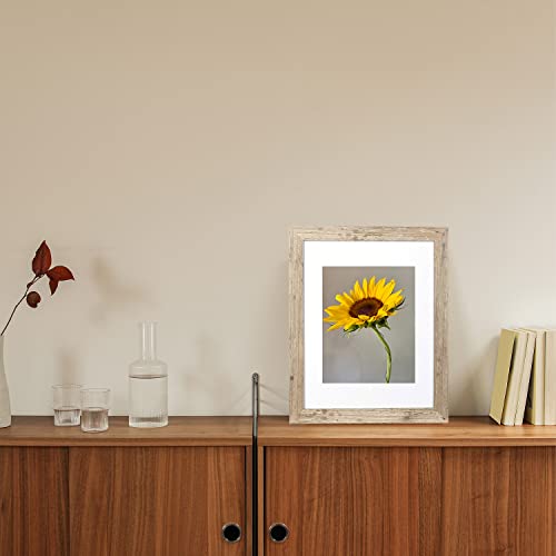 YOUNG POONG 11x14 Picture Frame Set of 2 Rustic Farmhouse Photo Frame with Tempered Glass for Wall and Tabletop Display