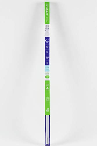 TOGGLED D312-50321-1 D-Series, 3 ft. (Dimmable) 120 VAC, T8/T12 Direct-Wire LED Tube, 5000K (Daylight), 1 Count (Pack of 1)