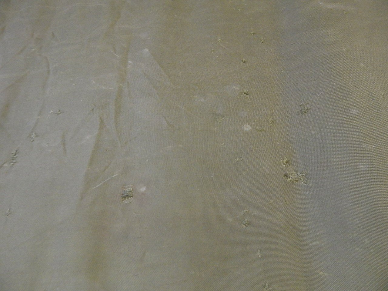 USGI Military Folding Cot