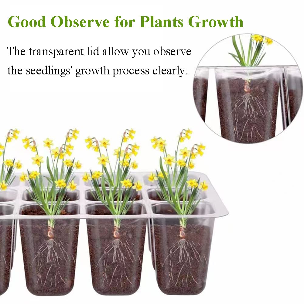 YOOAEFRTY Seed Starter Tray Kit, 3-Pack Plant Growing Trays with Humidity Dome and Base, Labels and Hand Tool Kit for Seed Starting, Germination and Seedling Propagation (12 Cells per Tray)