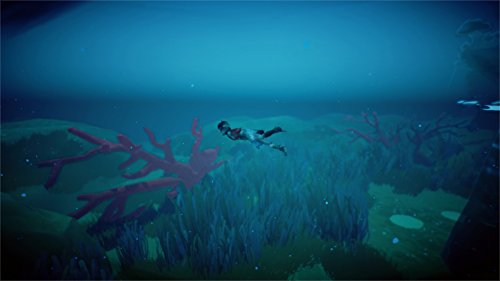 U&I Entertainment RiME - PlayStation 4 Standard Edition