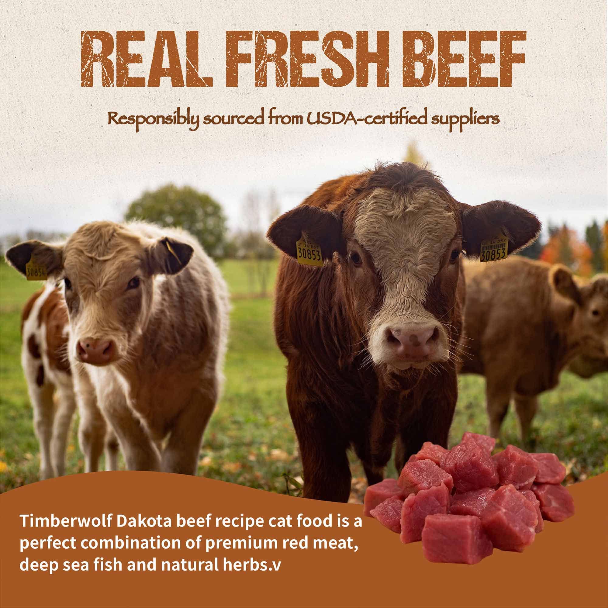 Timberwolf Dakota Beef Recipe Dry Cat Food 2.2lb