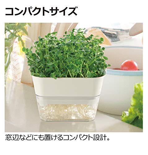 リッチェル Richell 002298 Sprout Farm Type 12 N Dark Gray, Set of 3, Made in Japan