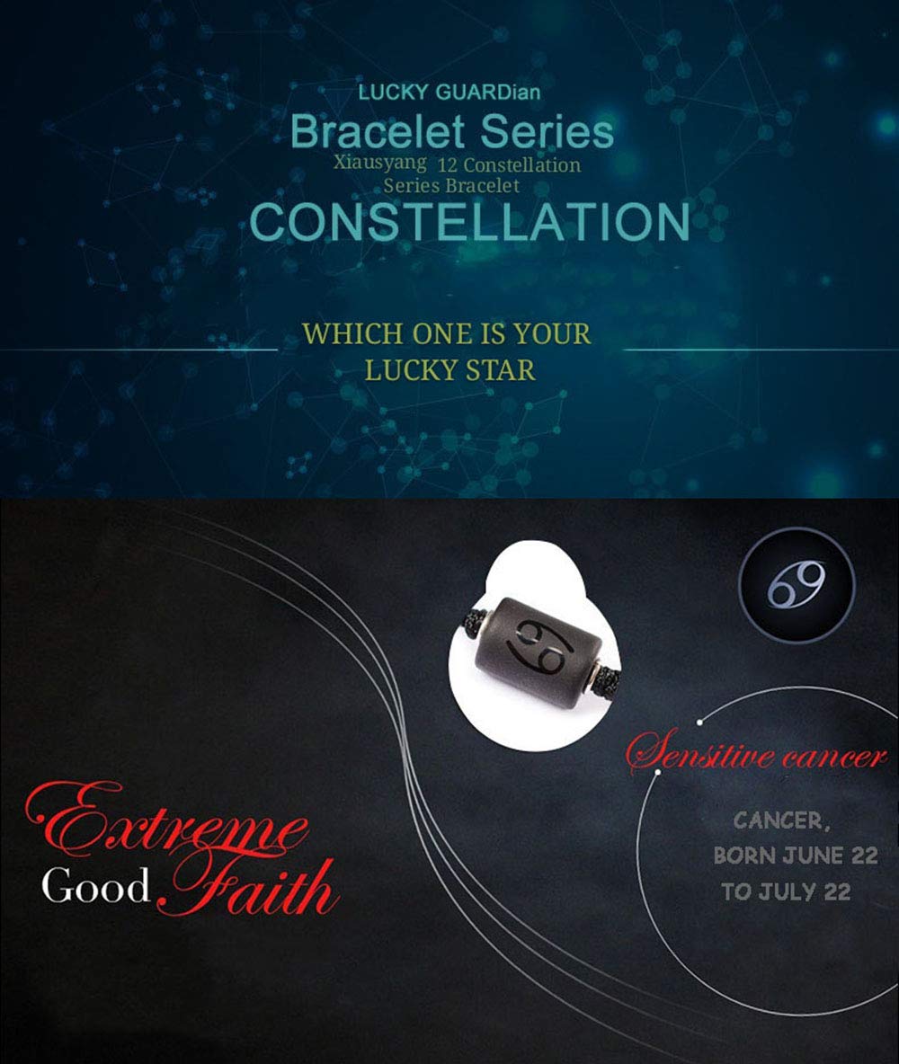 Xiausyang Pure silver hand woven 12 constellation bracelet men and women new matt agate bracelet y1013 (Pisces)