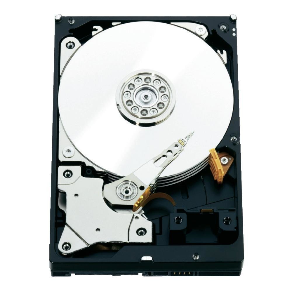 WD Re WD2000FYYZ 2TB 7200 RPM SATA 6Gbps 64MB Cache Datacenter HDD (Renewed)