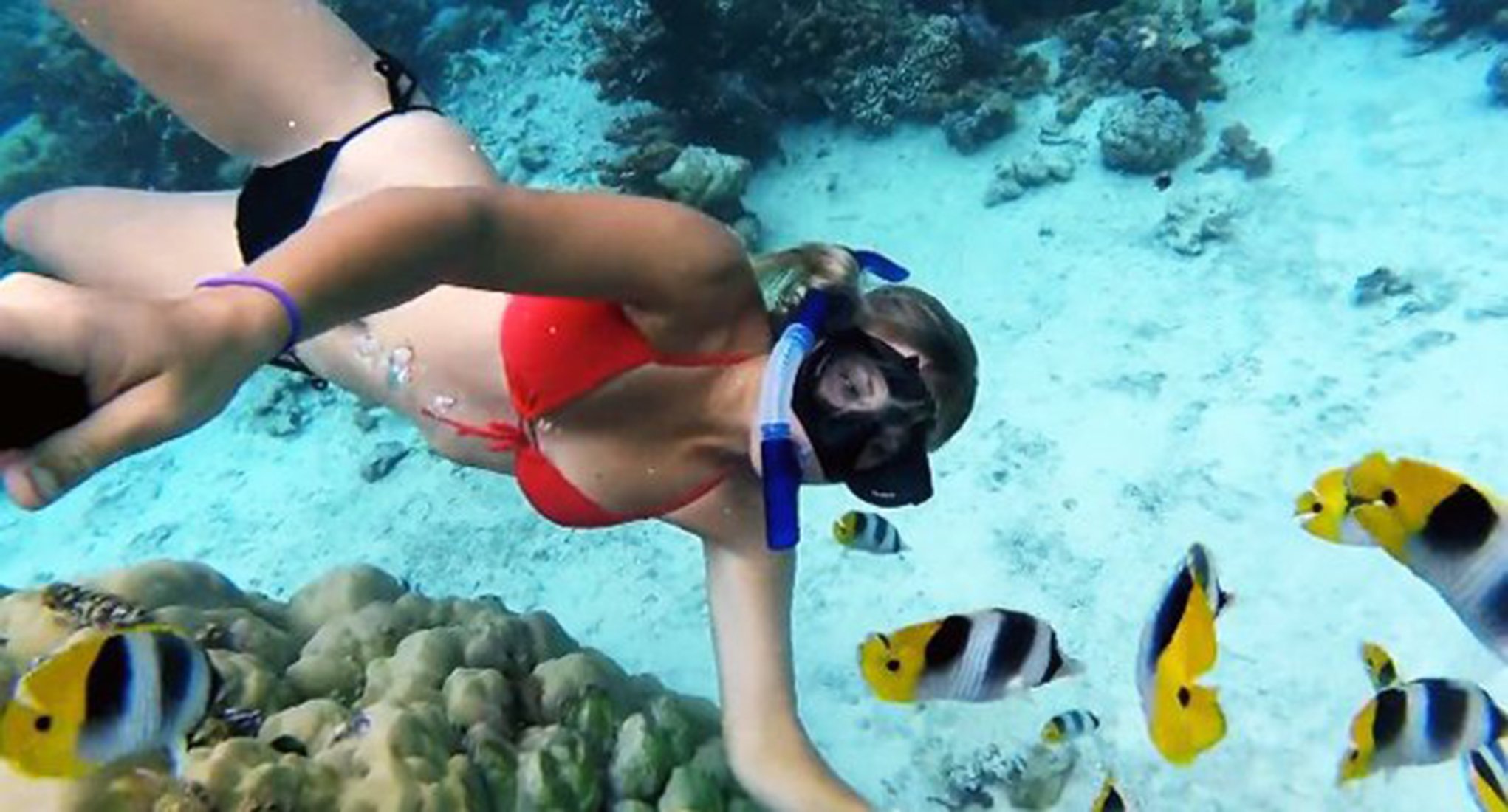 Yimobra Waterproof Housing Case for Gopro Hero 7 Black Hero 6 Hero 5 Hero 2018 Diving Protective Shell 147FT 45M with Bracket Accessories, Action Camera