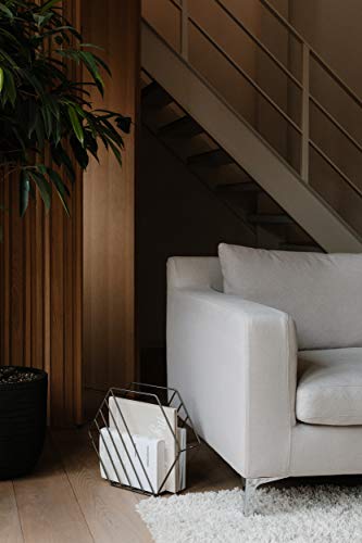 Umbra Zina Magazine Rack & Record Holder, Perfect for Vinyl Record Storage, Stands or Mounts to Wall, Titanium