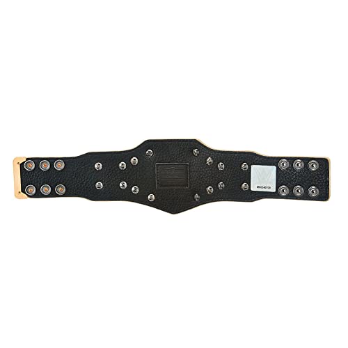 WWE Authentic Wear Championship Connor's Cure Mini Replica Title Belt Multi