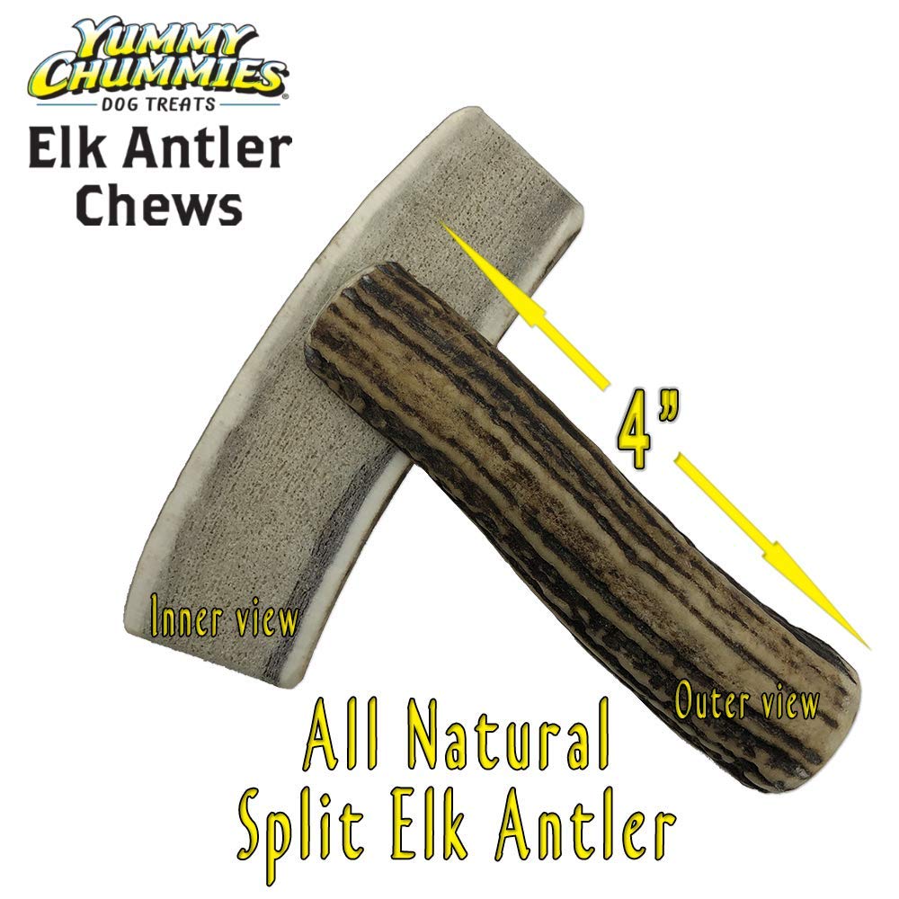 Yummy Chummies 2 Pack Grade A Elk Antler Chews 4 Inch Split 100% Elk Antler Dog Chews