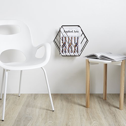 Umbra Zina Magazine Rack & Record Holder, Perfect for Vinyl Record Storage, Stands or Mounts to Wall, Titanium