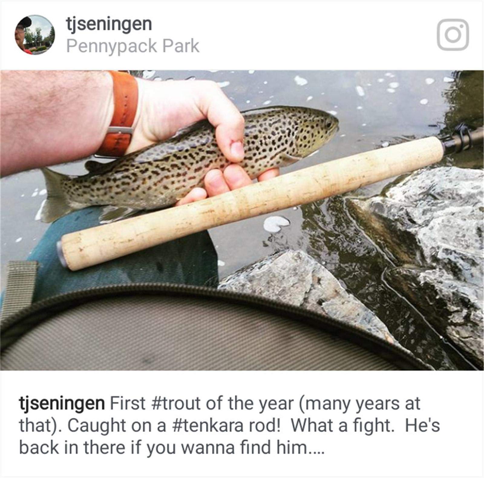Unifishing Tenkara Fly Rod 9/10/11/12/13FT 7:3 Action Telescoping Rod (V-tenkara, Triple 8'10''/9'9''/10'6'')