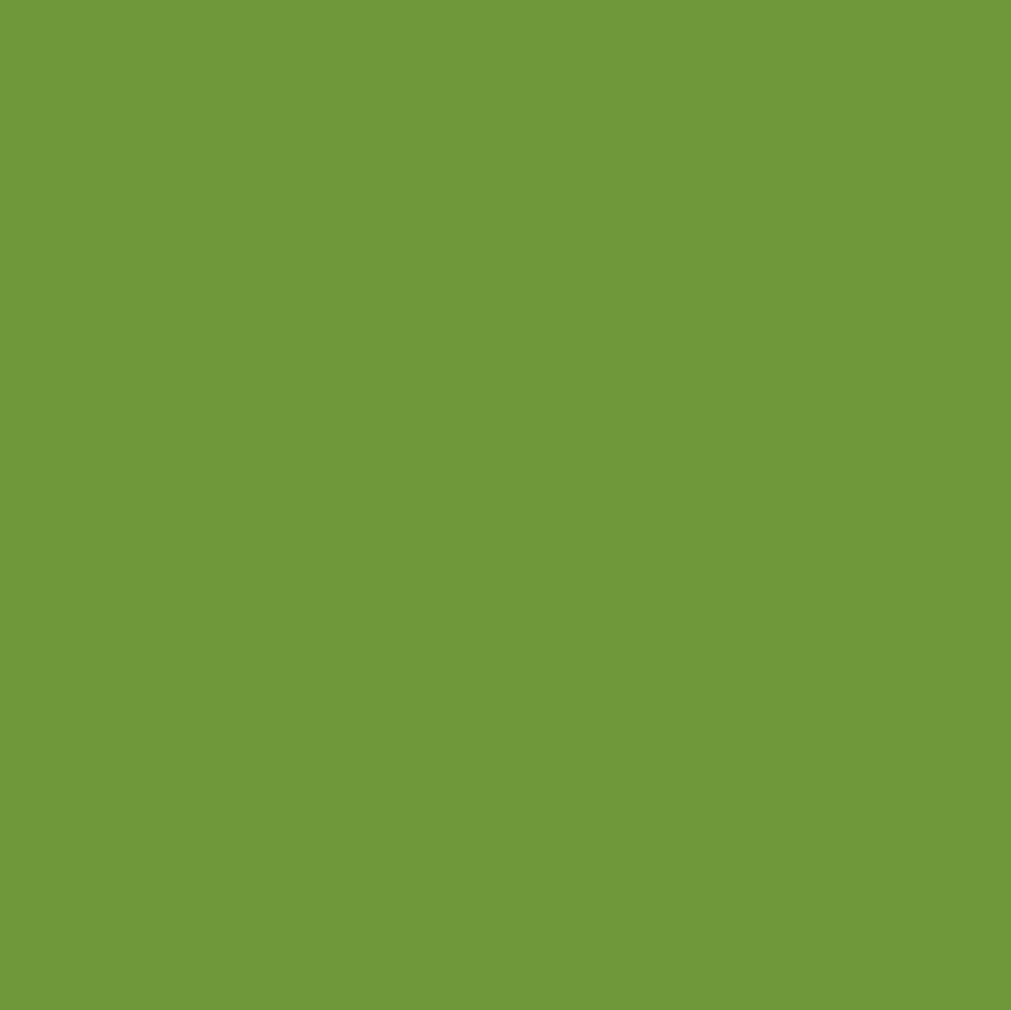 Vivere Dream Series Furniture Cushion, Green Apple