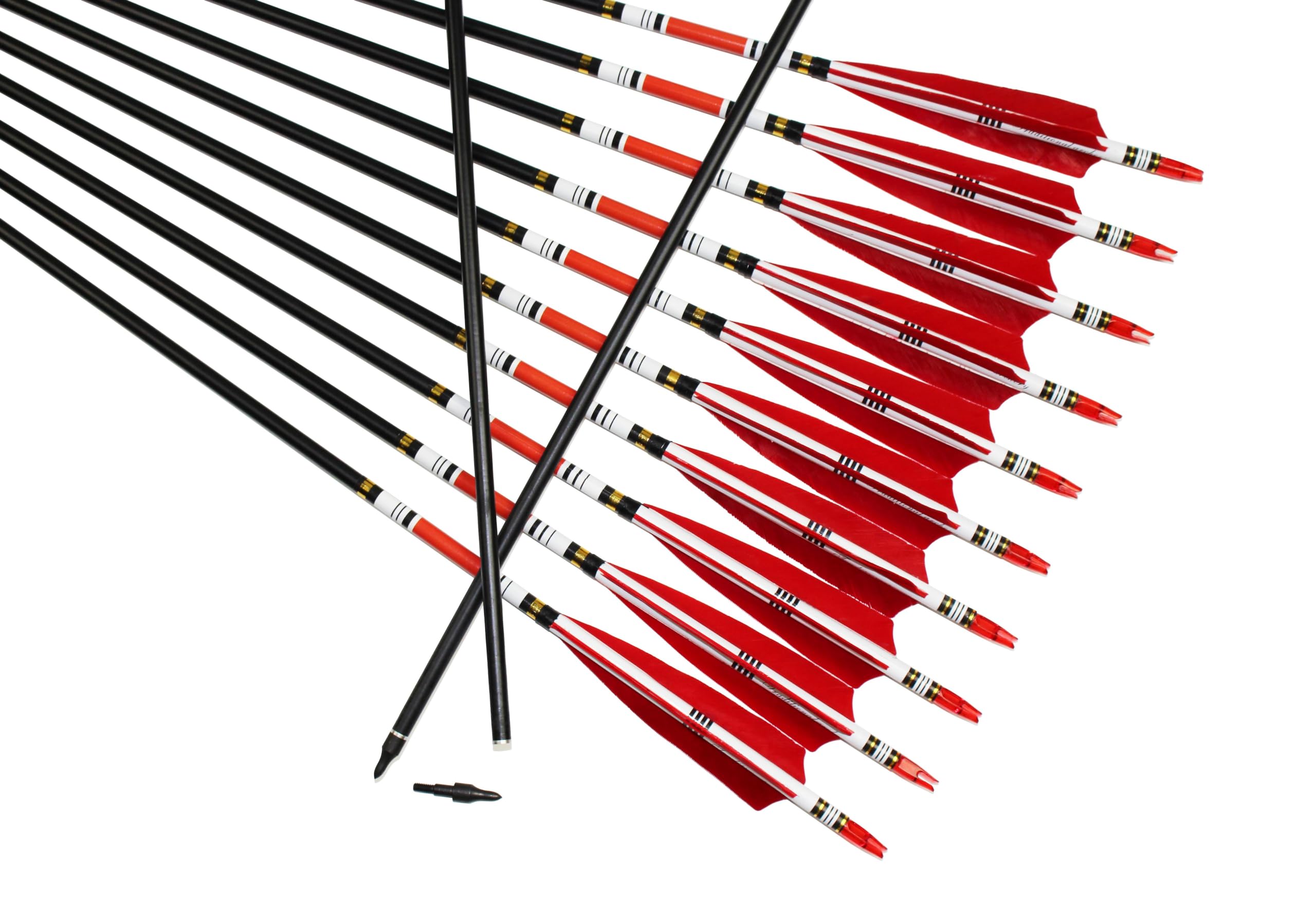 TTFLY FLETCHING 12PCS Red Turkey Feather 31 inches Carbon Arrows Replacement Tips Targeting Arrows Archery for Recurve Longbow Hunting&Practice