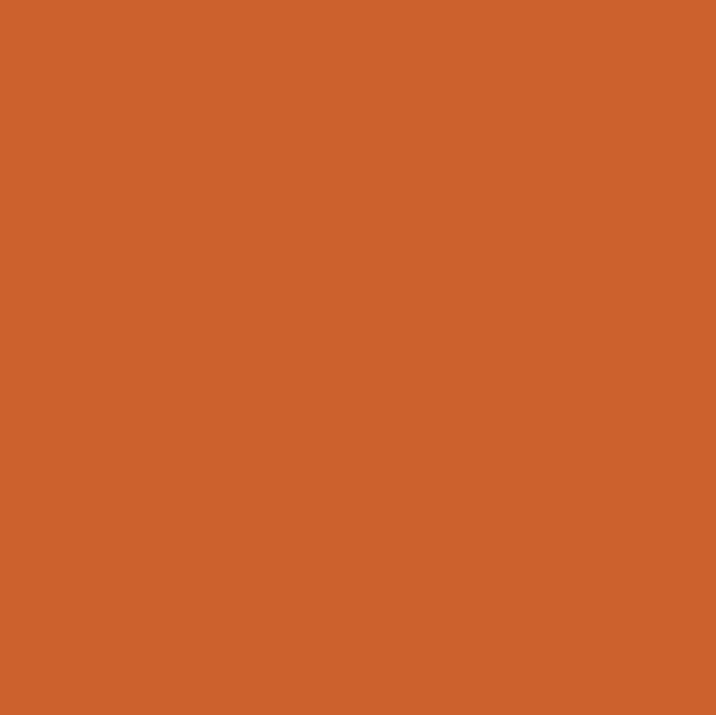 Vivere Dream Series Furniture Cushion, Orange Zest