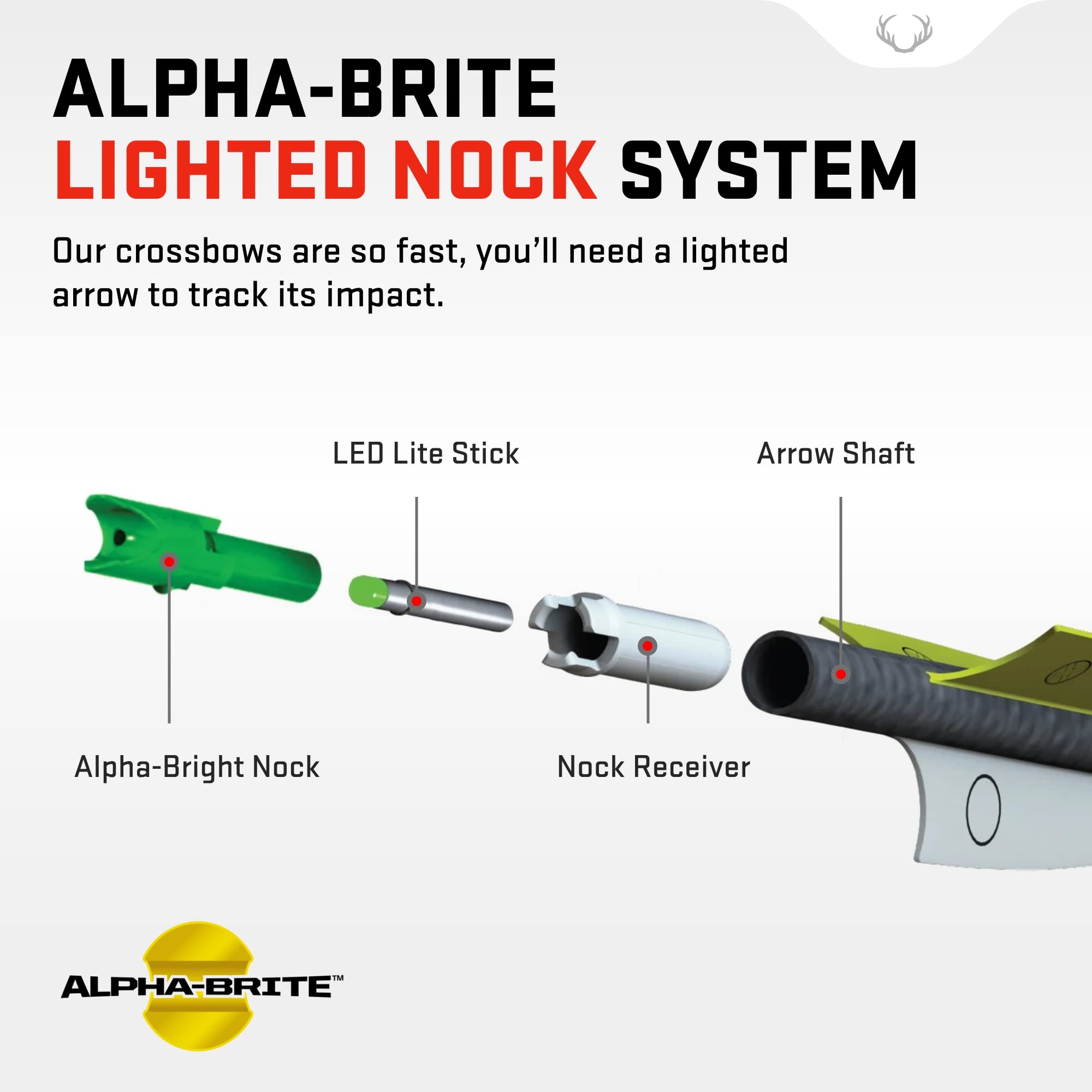 TenPoint Alpha-Brite Lighted Crossbow Nock - Pack of 3 - for Use with Most Wicked Ridge, Horton Innovations Crossbows (Does Not Include Nitro 505)