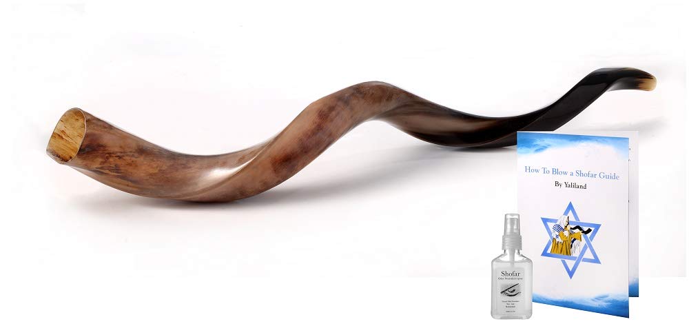 Yemenite Kudu Horn Shofar Shofars with Free Anti Odor Spray, guide Shofar from Israel (26"-28", Polish)