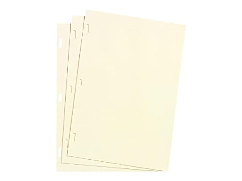 Wilson Jones Looseleaf Minute Book Ledger Sheets, Ivory, 11" x 8-1/2, 100 sheets/box (901-10)