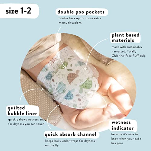 The Honest Company Clean Conscious Diapers | Plant-Based, Sustainable | Turtle Time + Dots & Dashes | Club Box, Size 2 (12-18 lbs), 76 Count