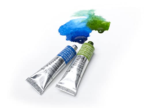 Windsor & Newton Artists Water 5ML Tube 12C Set (Japan Import)