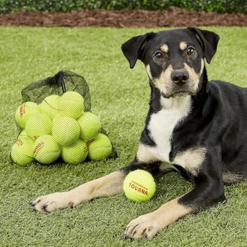 Tourna Pressureless Tennis Balls with Vinyl Tote (45 pack of balls)