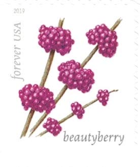 Winter Berries Book of 20 First Class US Postage Stamps Wedding Celebrate Engagement (20 Stamps)