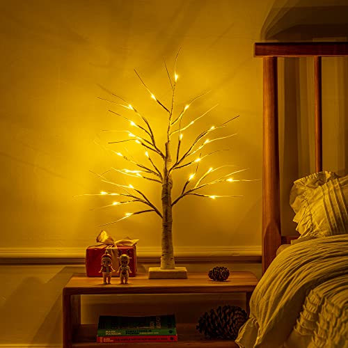 YEAHOME 2FT/24β Birch Tree Light with 24LT Warm White LEDs Battery Powered Timer for Christmas Decorations Indoor, Money Trees for Winter Wedding Desk Table Top Mantel Home Easter Decor
