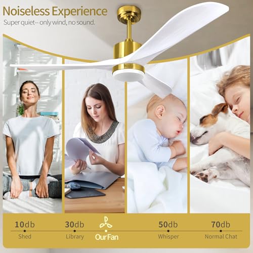 Wisful 56" Ceiling Fans with Lights Remote Control,Outdoor Wood Ceiling Fan with Light Memory for Patio Gazebo Living Room Bedroom(Gold and White)