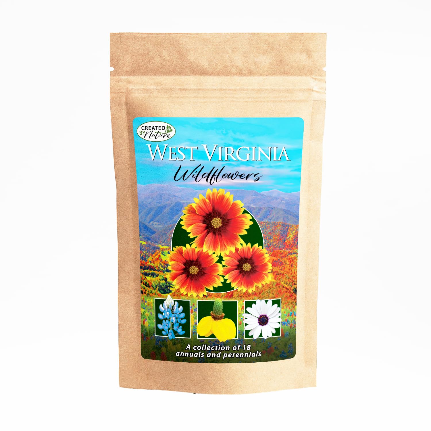 West Virginia Wildflower Seed Mix, Covers 325 Sq Ft, 18 flower varieties, Over 35,000 seeds, Created By Nature