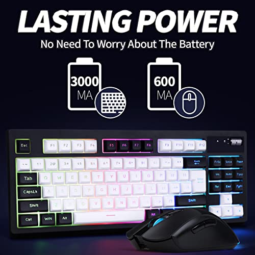 ZJFKSDYX C87 Wireless Gaming Keyboard and Mouse Combo, LED Backlit Rechargeable Mechanical Feeling Keyboard and Ergonomic Mouse for PC, Gaming Console (W/B)