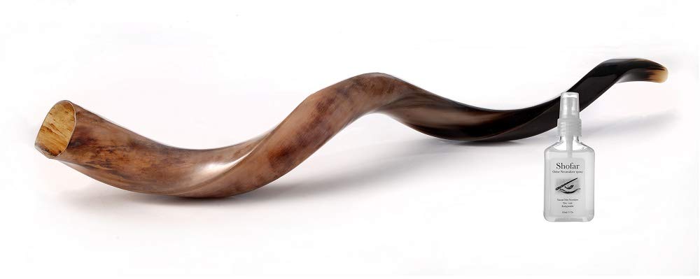 Yemenite Kudu Horn Shofar Shofars with Free Anti Odor Spray, guide Shofar from Israel (26"-28", Polish)