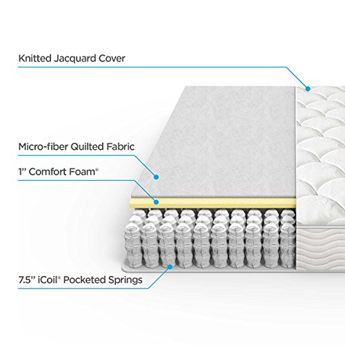 ZINUS 8 Inch Quilted Pocket Spring Mattress / Bed-in-a-Box, Queen