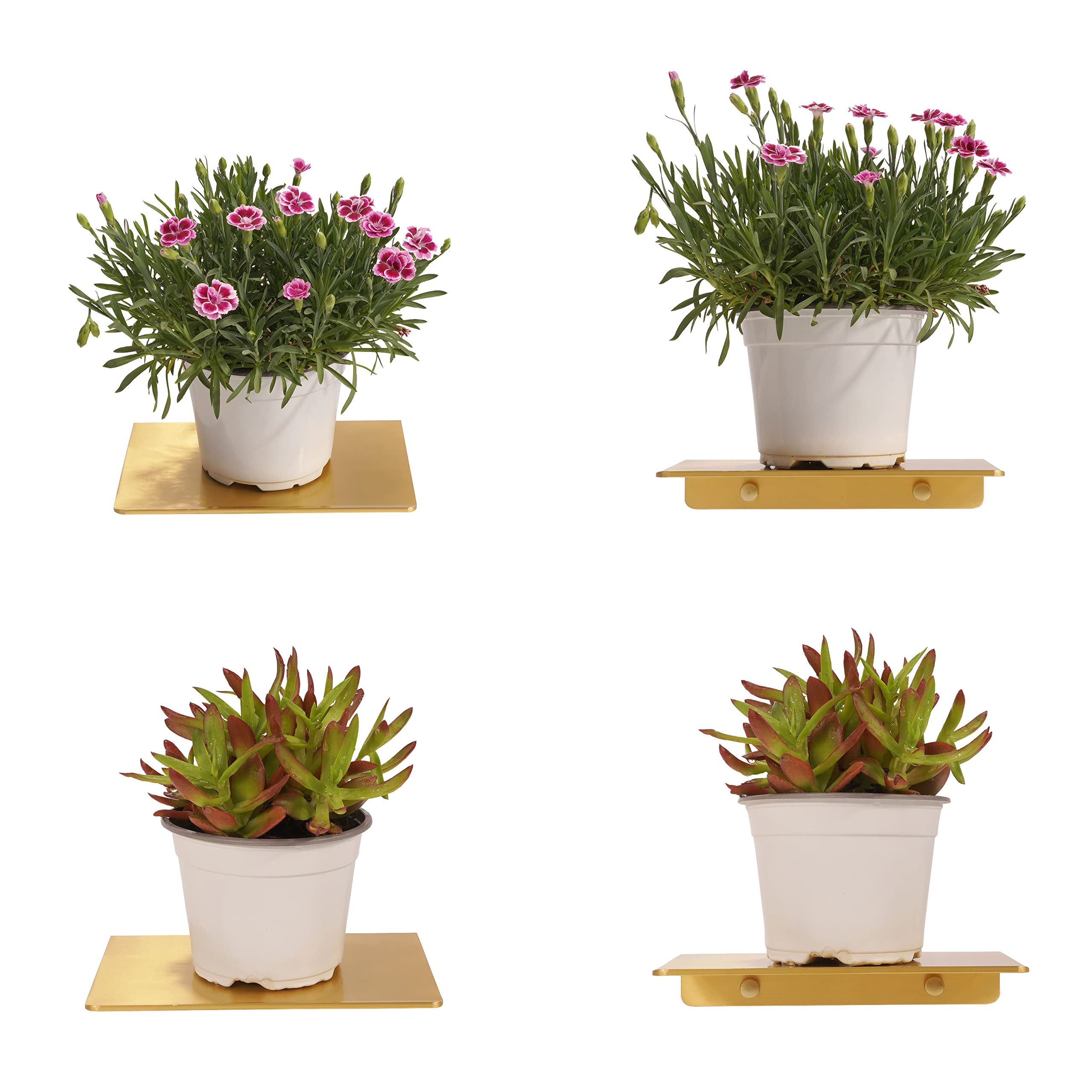 Veefos Small Gold Floating Shelves for Wall Decor 7.7 Inch, 2 Sets Bathroom Shelves Organizer Wall Mount, Sturdy Metal Wall Shelf for Plants Cell Phone Speakers Cameras Living Room Office