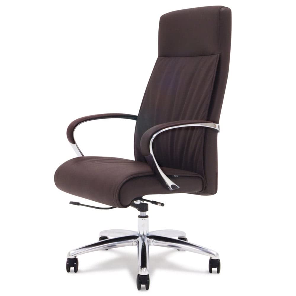 Zuri Furniture Modern Forbes Genuine Leather Aluminum Base High Back Executive Chair - Black