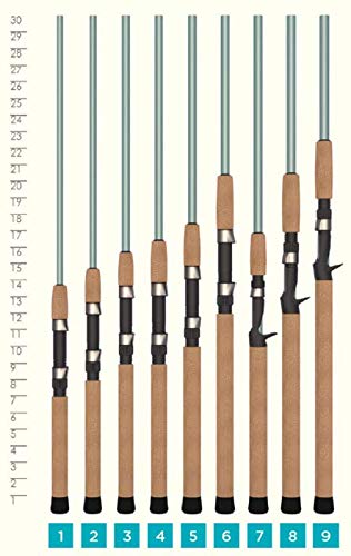 St. Croix Rods Avid Series Inshore Spinning Rod