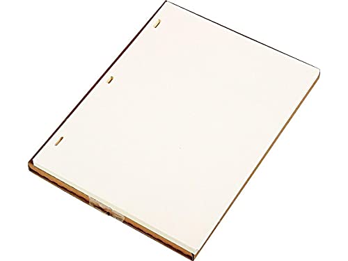Wilson Jones Looseleaf Minute Book Ledger Sheets, Ivory, 11" x 8-1/2, 100 sheets/box (901-10)