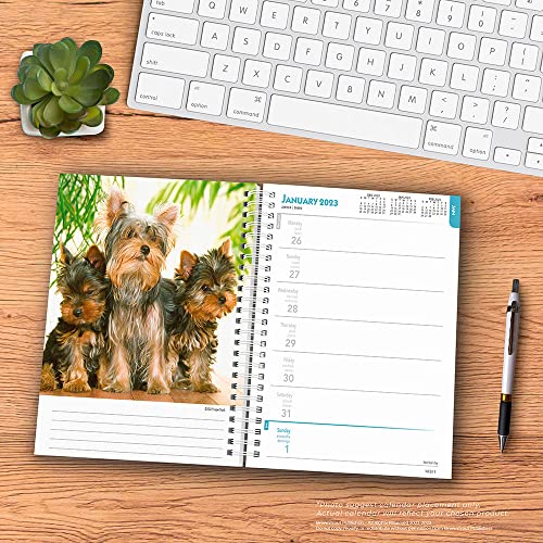 Yorkshire Terriers | 2023 6 x 7.75 Inch Spiral-Bound Wire-O Weekly Engagement Planner Calendar | New Full-Color Image Every Week | BrownTrout | Yorkies Dog Breeds DogDays