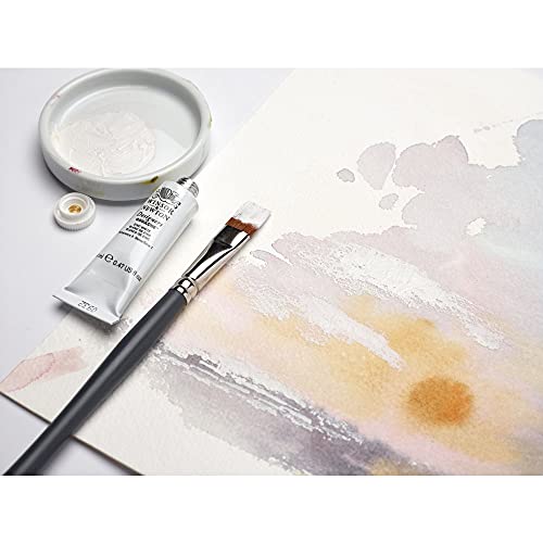 Winsor & Newton Designers' Gouache Introductory 10-Tube Paint Set, 14ml,Blue,green,ivory,white
