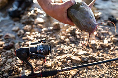 Ugly Stik Ugly Tuff Spinning Spinning Reel, Size 30, 5 Stainless Steel Ball Bearing System, Oil Felt Front Drag Drag, Max of 18lb | 8.1kg, Black