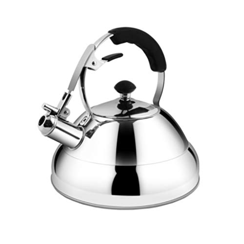 ZNZN Stove Kettle Large Capacity Kettle-Creative Silver Food Grade Stainless Steel Teapot with Ergonomic Handle (2.6L,87.9OZ) Multifunctional Water Kettle