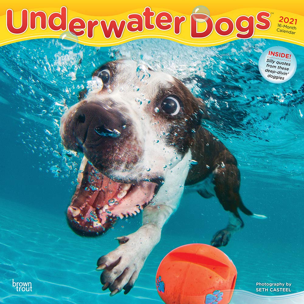 Underwater Dogs 2021 Calendar